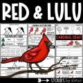 Red and Lulu Activities