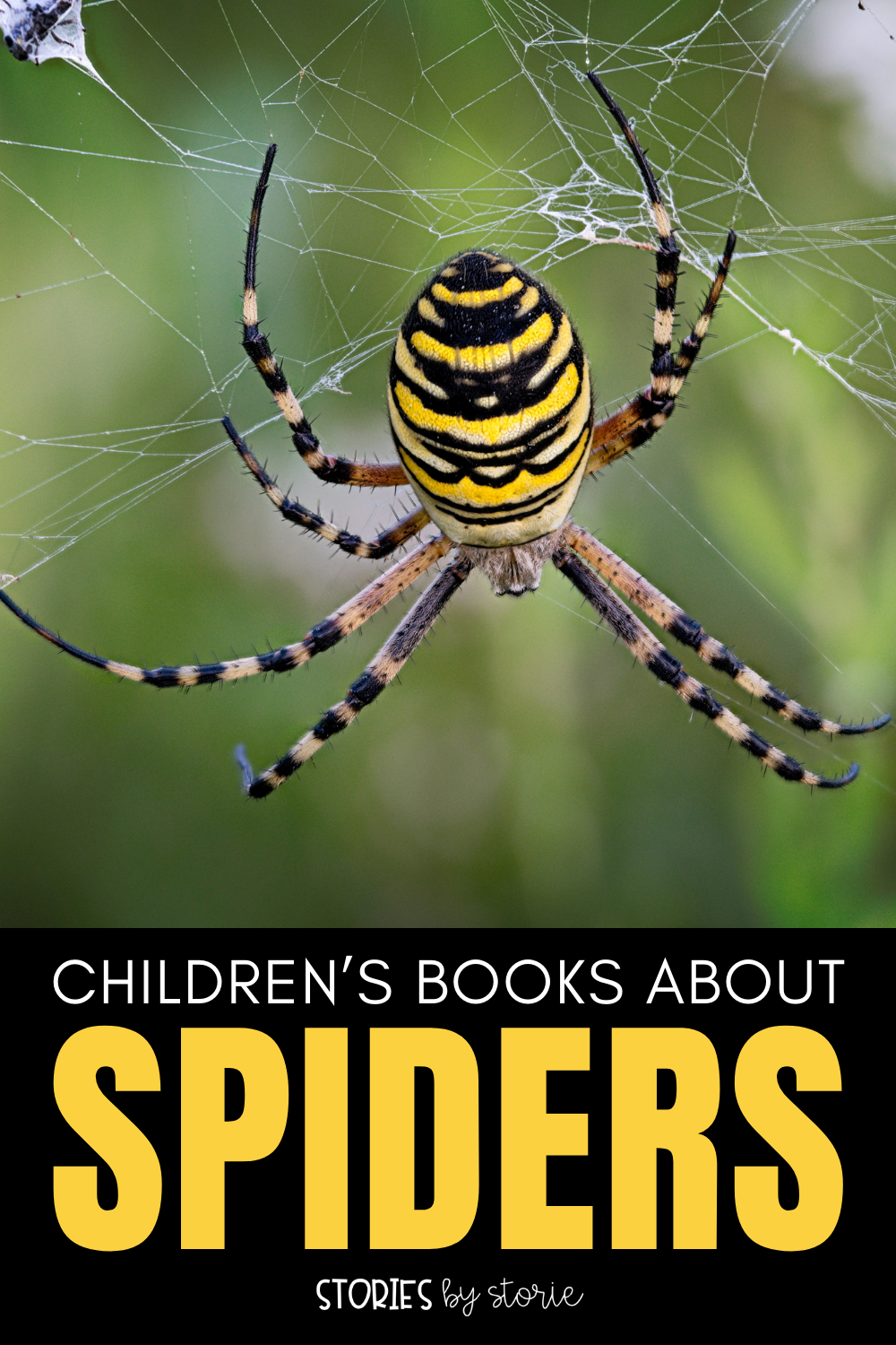 Spider Books for Kids