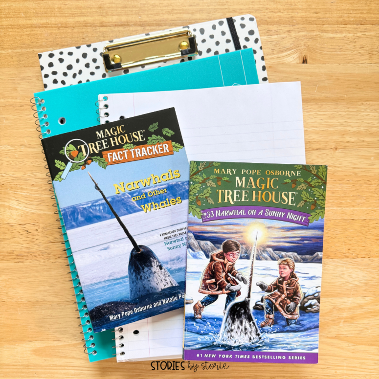 Activities to Use with The Magic Tree House Series